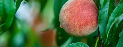 Bianca Palmisano On Sex Positivity