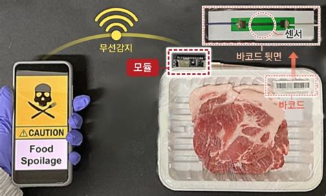 여보 포장지가 싱싱한 고기인지 알려 준대 서울신문