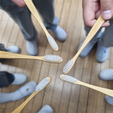 대구대청초등학교 대나무 칫솔 교환 캠페인 후기 대나무 칫솔 칫솔 교환 캠페인 친환경 학교 생태 전환 교육 환경 교육 칫솔 교환 캠페인 구강교육 플라스틱