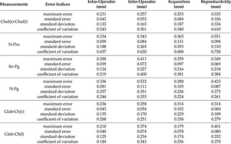 error magnitude statistics the table shows the descriptive statistics