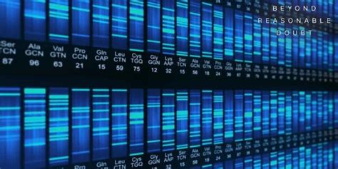 Understanding The Combined Dna Index System Codis