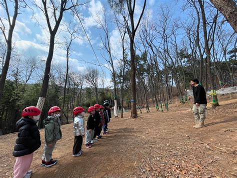대구키즈카페•대구키즈풀•숲체험•솜팡키즈카페 자연 속에서 짜릿한 스릴을 숲으로프놀이는 나무 사이를 가로지르며 체력과 집중력을 테스트하고 자연과 함께 모험을 즐기며