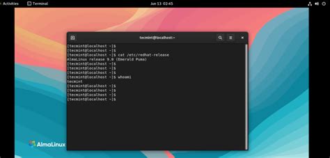 How To Install AlmaLinux Step By Step