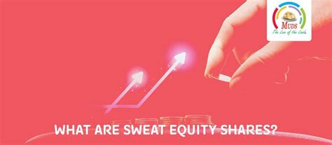 What Are Sweat Equity Shares Muds