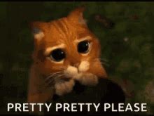 Pretty Please Meme Pretty Please Discover And Share S