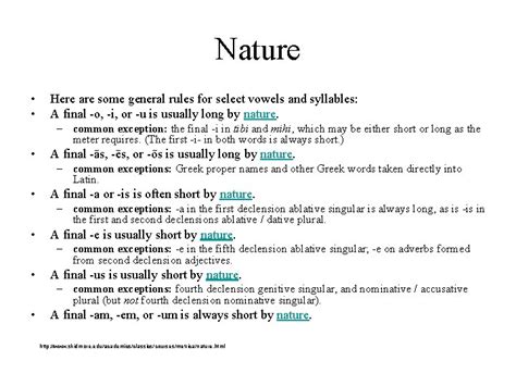 Dactylic Hexameter What Is Meter Meter Rhythm A
