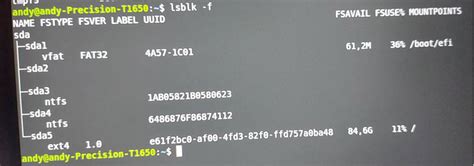 determine linux file system ekiwi blog de