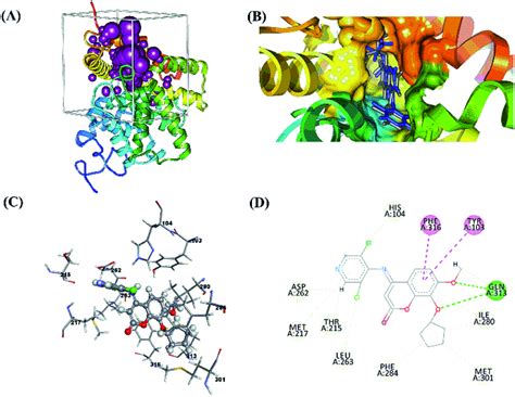 Visualization Of Molecular Docking Validation A Cluster Sphere