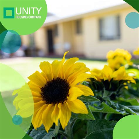 Avalon Unity Housing Company