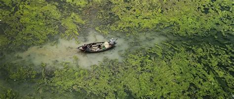 Rising Tides Environmental Photography Award Winners Announced Bbc