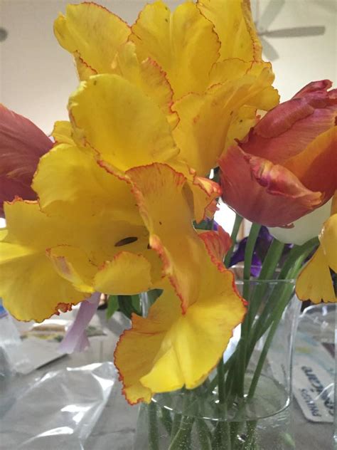 Middleton Facebook Friends