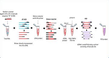 RNA Seq Blog