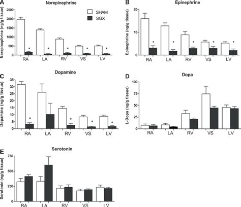 Effects Of Sgx On Neurotransmitters And The Catecholamine Precursor Download Scientific Diagram