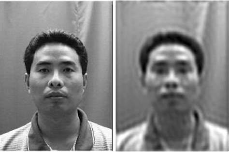 The Original Picture And The Low Frequency Part After Wavelet Transform Download Scientific