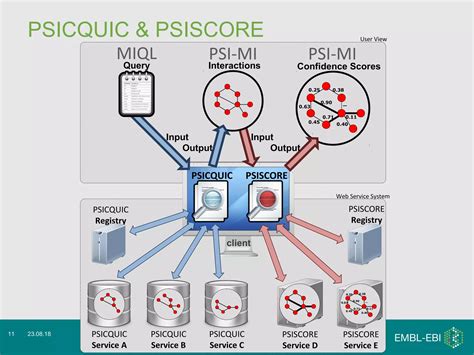 Clustering And Scoring Molecular Interactions Relying On Community Standards Ppt