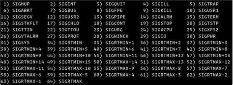 Cách Sử Dụng Lệnh Kill Trong Linux Freetuts