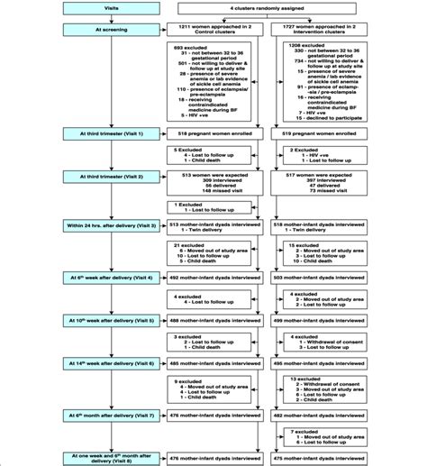 Flow Chart Of Study Recruitment And Attrition Download Scientific Diagram