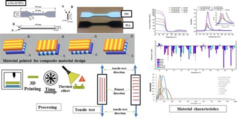 Polymer Engineering And Science Vol 64 No 3