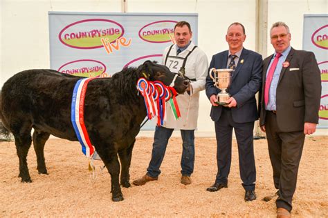 Supreme Champion Beef Beast Limousin Heifer Midnight Star With Owner