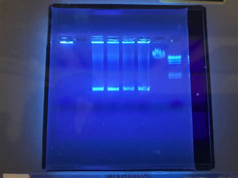 Genomics Class Elaine