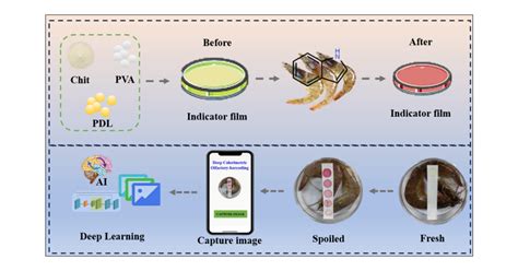 Deep Learning Used With A Colorimetric Sensor Array To Detect Indole
