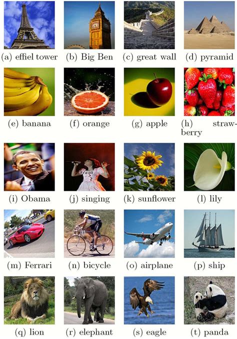 Illustration Of Sample Figures Related To The Queries In Our Experiments Download Scientific