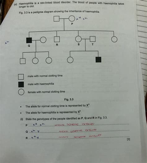 0610 Biology Help R Igcse
