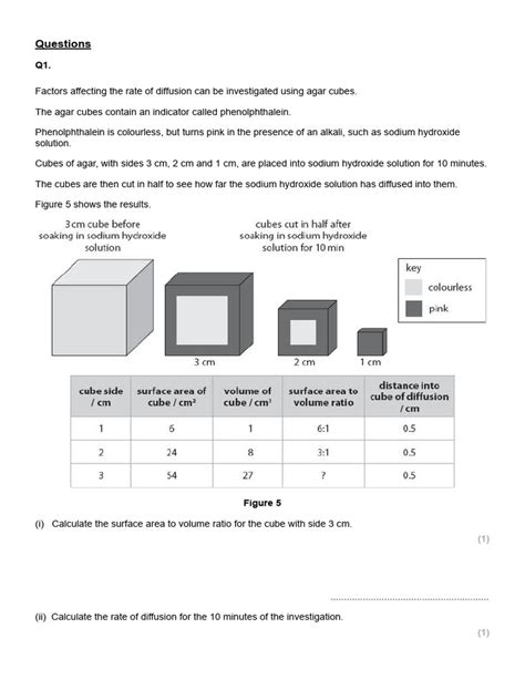 Gcse 9 1 Diff Osmosis Qp Ms Er Pdf Osmosis Mitosis