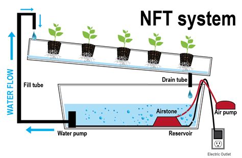 Model Hidroponik Nutrient Film Technique (NFT) - IlmuBudidaya.com