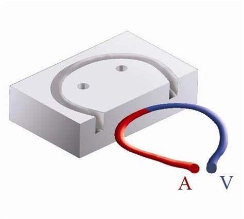 Diagram Showing How The Av Loop Will Be Laid Inside The Scaffold