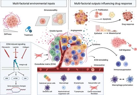Systems Approaches To Uncovering The Contribution Of Environment Mediated Drug Resistance