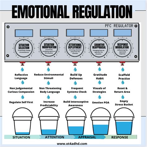 emoțional Șef regulation strategies for learners emotional regulation