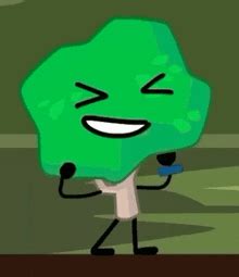 Tree Bfdi  Tree Bfdi Tree Discover And Share S