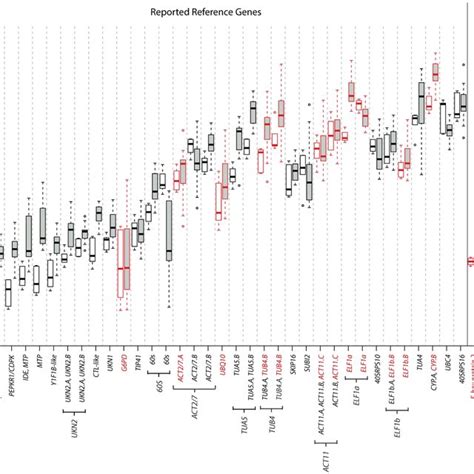 Evaluation Of Previously Reported Reference Genes And New Candidate