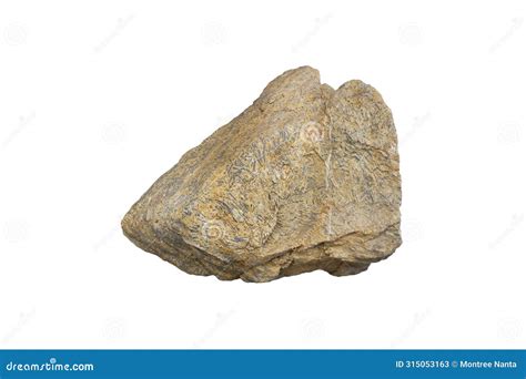 Fusulinid Fossil Stone Isolated On White Background Fusulinids