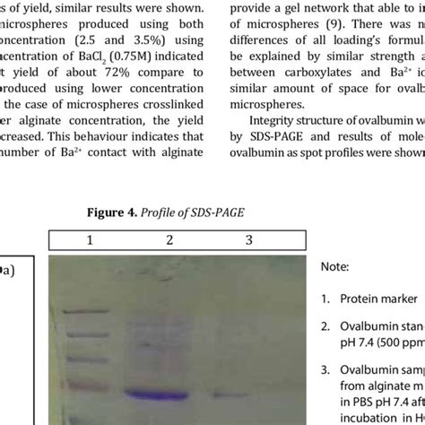 Encapsulation Efficiency Protein Loading And Yield Of Microspheres Download Table
