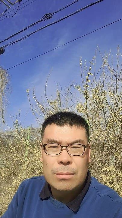 개나리꽃 Youtube