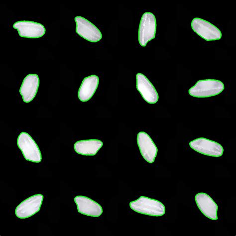 Rice Image Dataset For Object Segmentation Kaggle