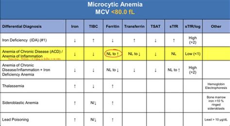 Hematology 3 Micro And Macrocytic Anemia Flashcards Quizlet