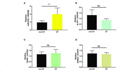 Validation Of The Results Of Small RNAseq And RNAseq Quantification Download Scientific
