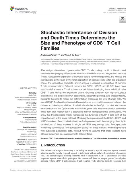 Pdf Stochastic Inheritance Of Division And Death Times Determines The Size And Phenotype Of