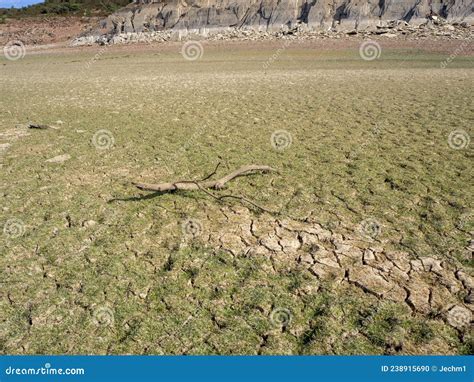 Beeld Van Klimaatverandering In Een Reservoir Met Een Droge Boomtak Begrip Droogte Stock Foto