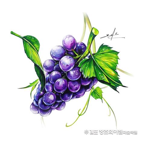 Instagram의 시온t 그림모음님 🎨포도 시범작🎨 포도기초디자인 시범수업 기초디자인 입시미술 시범작 미술 미술스타그램 그림스타그램 기초디자인구도