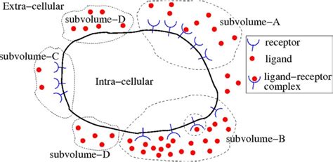 Computationally Efficient Modelling Of Stochastic Spatio Temporal
