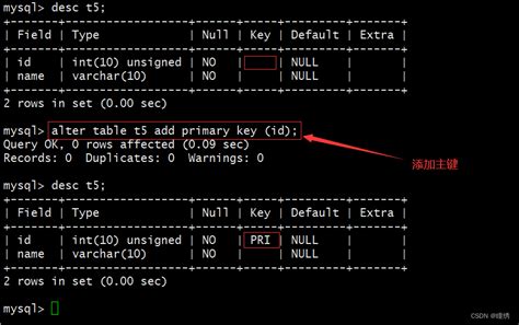MySQL表的约束 CSDN博客