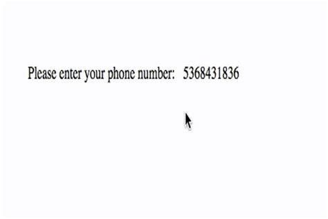 Hilariously Bad Phone Number Web Forms