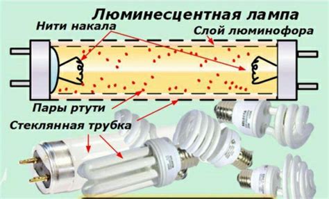 Люминесцентная лампа: что это такое, принцип работы, из чего состоит ...