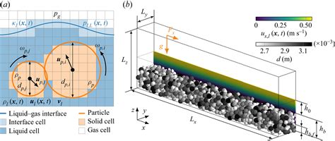 particle resolved simulation of antidunes in free surface flows