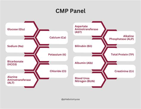 What Your Cmp Results Are Telling You Phlebotomy Usa