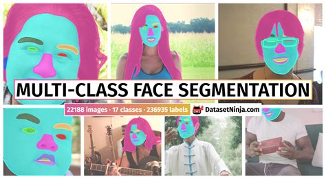 Multi Class Face Segmentation Dataset Ninja Multi Class Face Segmentation Dataset Ninja